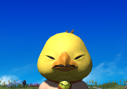 Fat Chocobo Set | Eorzea Collection