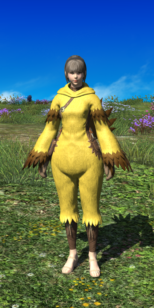 Chocobo Set | Eorzea Collection