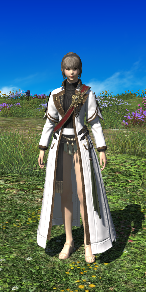 Field Commander's Set | Eorzea Collection