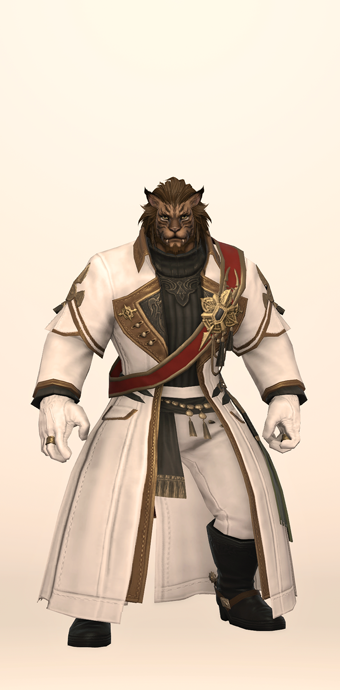 Field Commander's Set | Eorzea Collection