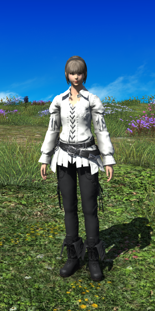 Falconer's Set | Eorzea Collection