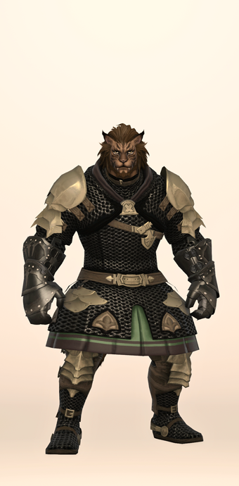 Darksteel Set | Eorzea Collection