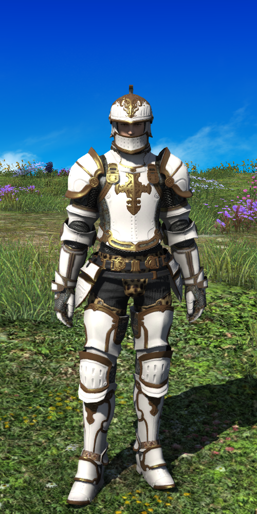 Militia Fending Set | Eorzea Collection