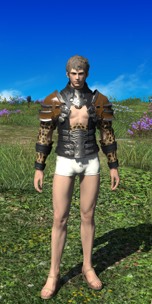 Militia War Set | Eorzea Collection