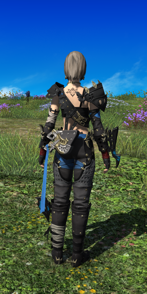 Sky Rat Scouting Set | Eorzea Collection