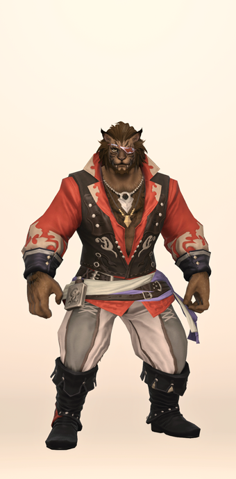 Divine Hero Set | Eorzea Collection