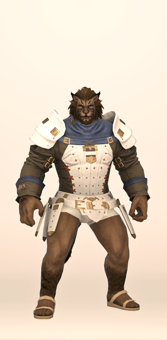 Alpine Set | Eorzea Collection