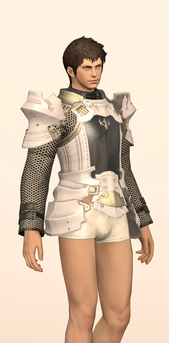 Protector's Set | Eorzea Collection
