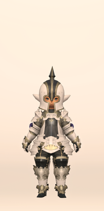 Protector's Set | Eorzea Collection