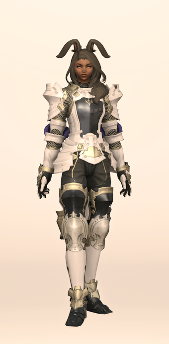 Protector's Set | Eorzea Collection