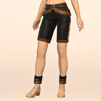 Panegyrist's Set | Eorzea Collection