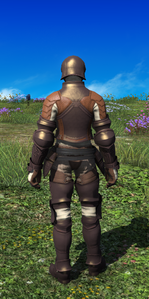 Plundered Fending Set | Eorzea Collection