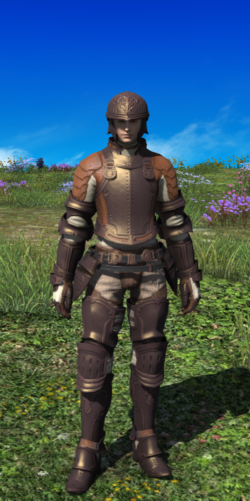 Plundered Fending Set | Eorzea Collection