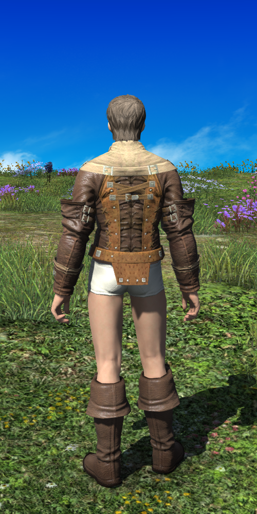 Plundered War Set | Eorzea Collection