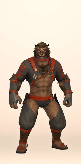 Shisui Fending Set | Eorzea Collection