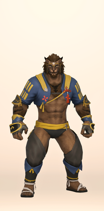 Shisui Striking Set | Eorzea Collection