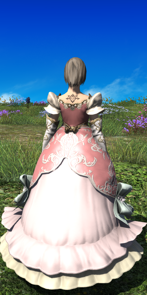 Faerie Tale Princess's Set | Eorzea Collection