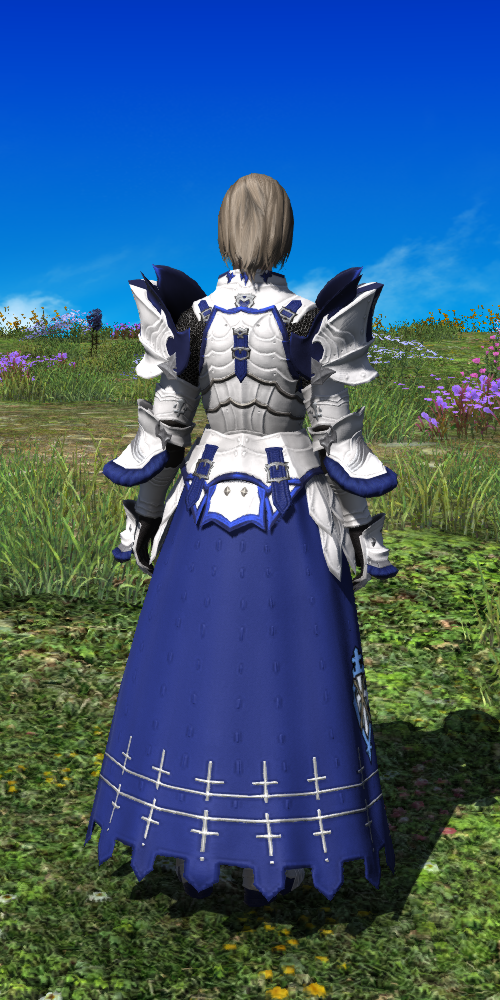 Ward Knight's Set | Eorzea Collection