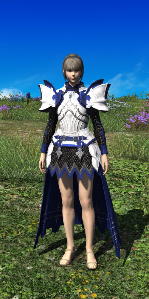 Ward Knight's Set | Eorzea Collection