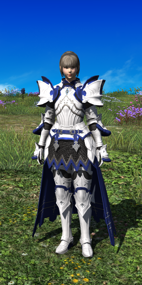 Ward Knight's Set | Eorzea Collection