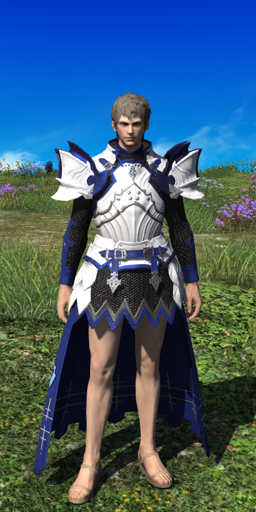 Ward Knight's Set | Eorzea Collection