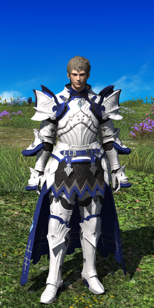 Ward Knight's Set | Eorzea Collection