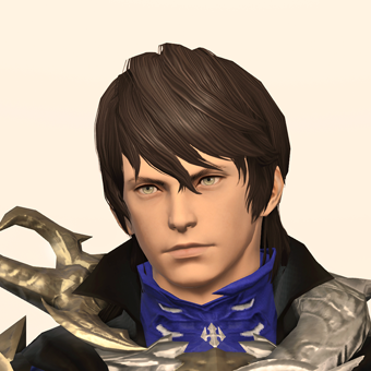 Lord Commander's Set | Eorzea Collection