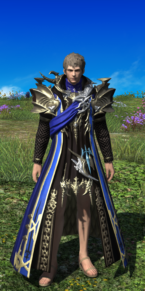 Lord Commander's Set | Eorzea Collection