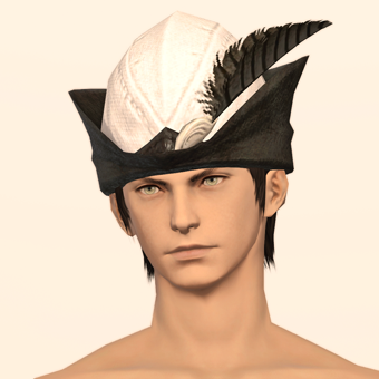 Direwolf Aiming Set | Eorzea Collection