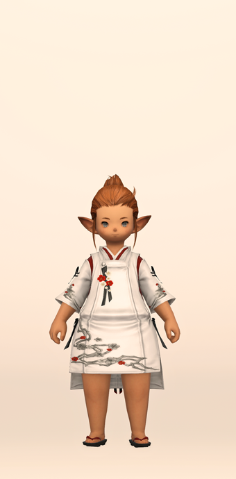 Lord's Suikan Set | Eorzea Collection