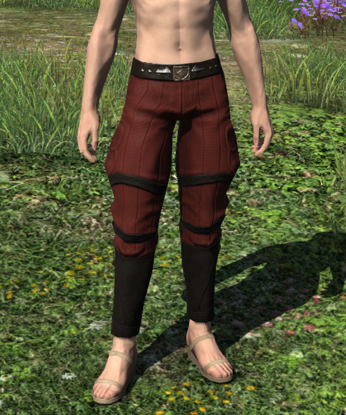 Anemos Gambison Set | Eorzea Collection