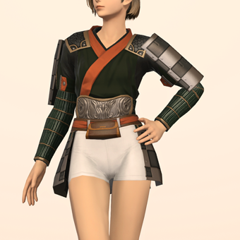 Kirin's Osode Set | Eorzea Collection