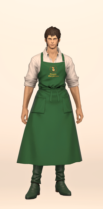 Craftsman's Set | Eorzea Collection