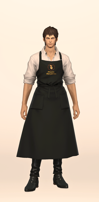 Craftsman's Apron Set | Eorzea Collection