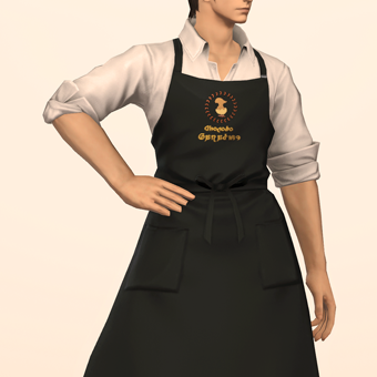 Craftsman's Set | Eorzea Collection