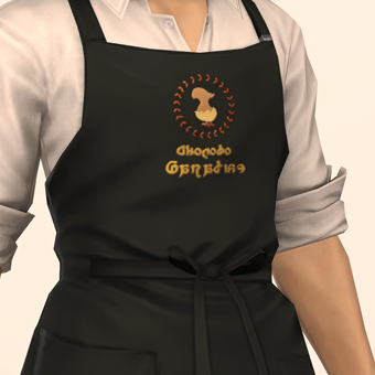 Craftsman's Set | Eorzea Collection