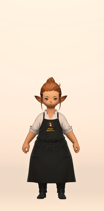 Craftsman's Set | Eorzea Collection